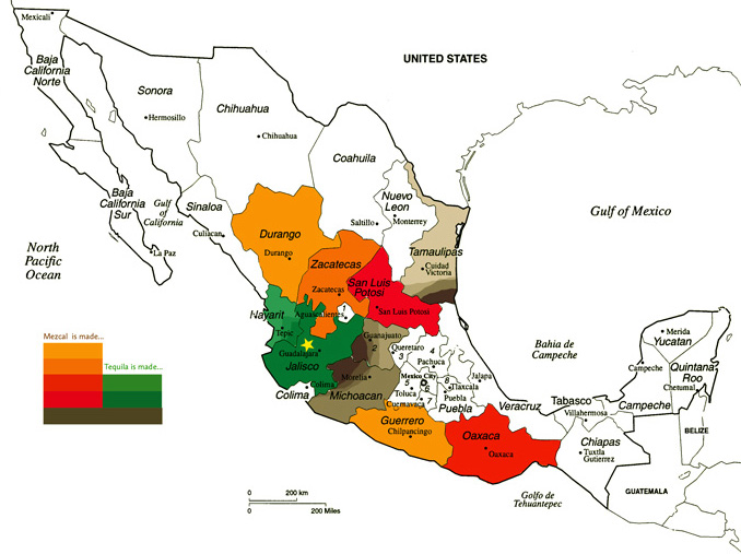 Understanding Mezcal | or…drinking in the name of learning